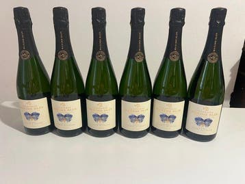 ≥ Maxime Blin, Carte Blanche - Champagne Blanc de Noirs, Extra — Wijnen ...