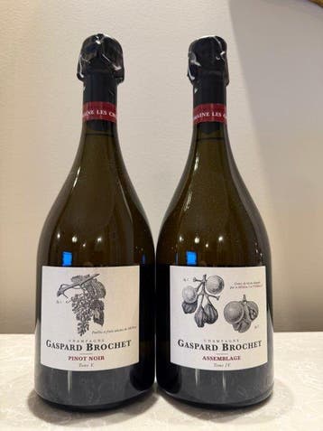 ≥ Gaspard Brochet, Assemblage Tome IV & Pinot Noir Tome V - — Wijnen ...