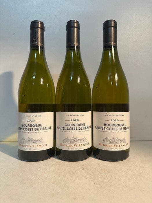 ≥ 2023 Henri de Villamont Bourgogne Hautes Cotes de Beaune — Wijnen ...