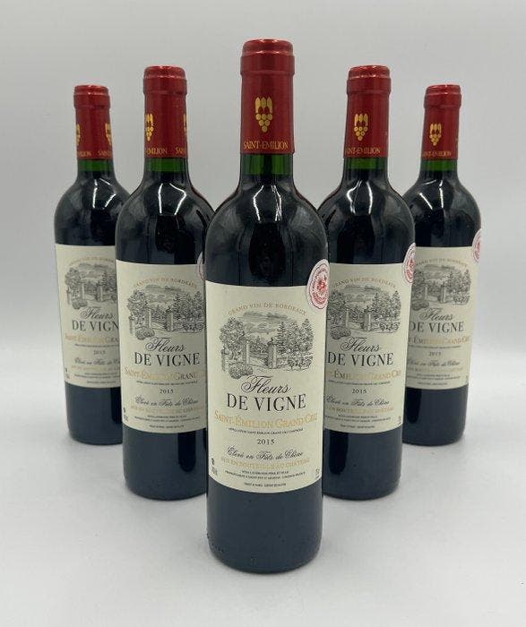 ≥ 2015 Fleurs de Vigne - Saint-Émilion Grand Cru - 6 Flessen — Wijnen ...