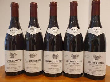 ≥ 2023 Domaine Michel Gaunoux Bourgogne, x 2 Pommard 1° Cru, — Wijnen ...