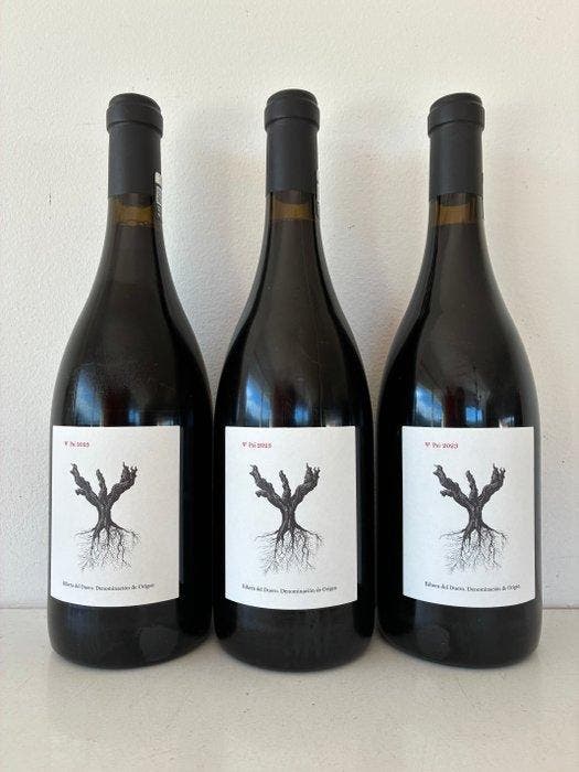 ≥ 2023 Dominio de Pingus, Psi - Ribera del Duero - 3 Flessen — Wijnen ...