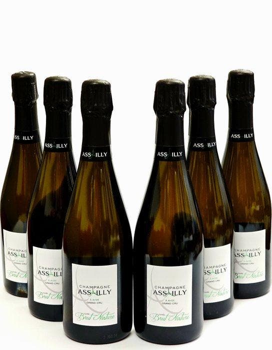 ≥ Assailly, Cuvée Brut Nature - Avize Grand Cru - 6 Flessen — Wijnen ...