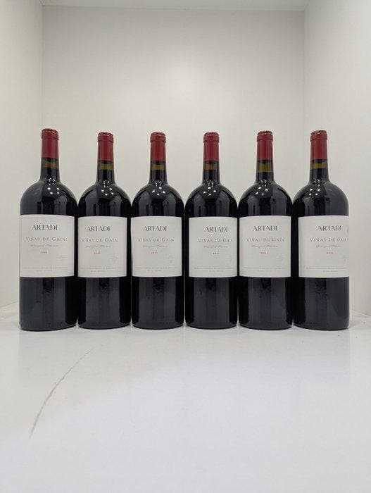 ≥ 2021 Artadi, Viñas de Gain - Rioja - 6 Magnums (1.5L) — Wijnen ...