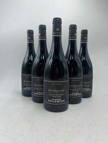 ≥ 2023 Domaine Aegerter - Bourgogne Rente de Giron Pinot Noir — Wijnen ...