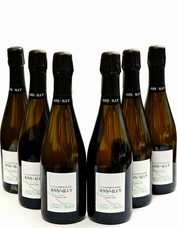 ≥ Assailly, Cuvée Brut Nature - Avize Grand Cru - 6 Flessen — Wijnen ...