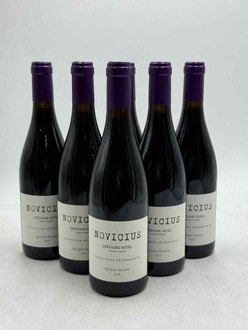 ≥ 2024 Stéphane Revel Novicius Malbec fruité - Cahors - 6 — Wijnen ...