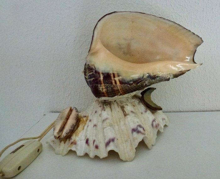 ≥ Tafellamp - Schelp - Abalone schelp — Curiosa en Brocante — Marktplaats