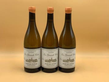 ≥ 2024 Pascal Cotat La Grande Côte - Sancerre - 3 Flessen — Wijnen ...