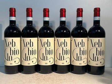 ≥ 2024 Casali del Barone Langhe Nebbiolo - Piëmont DOC - 6 — Wijnen ...