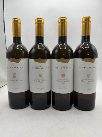 ≥ 2023 Elena Walch Pinot Grigio Vigna Castel Ringberg - (a1526973322 ...