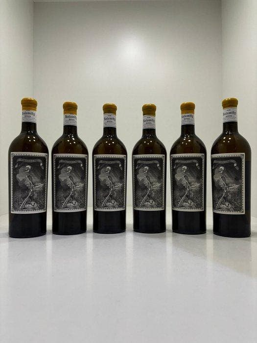≥ 2024 Oxer Bastegieta, Kalamity Blanco - Rioja DOC - 6 — Wijnen ...