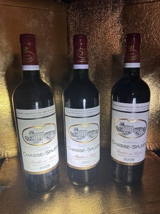 ≥ 2006 Chateau Chasse-Spleen - Moulis-en-Medoc Cru Bourgeois ...