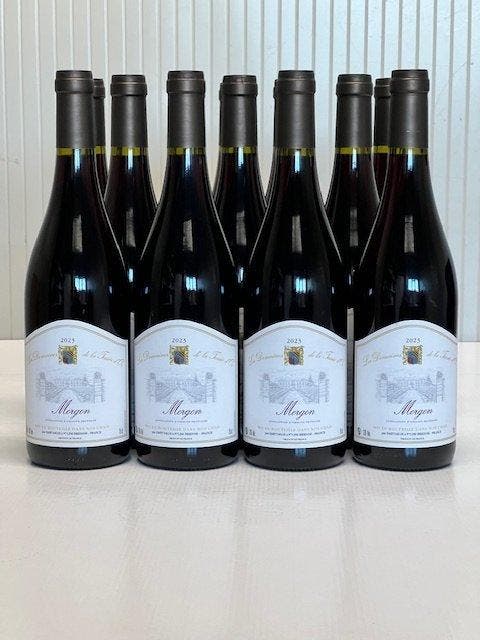 ≥ 2023 Les Domaines de la Tassée dOr - Morgon - 12 Flessen (a1526651981 ...