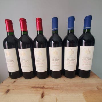 ≥ 2001 Chateau Dillon - Haut-Médoc Cru Bourgeois - 6 Flessen — Wijnen ...